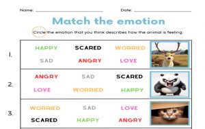 Direct work tool: discussing emotions with autistic children and young ...