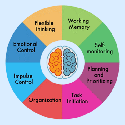 A wheel illustrating the different aspects of executive functioning ...